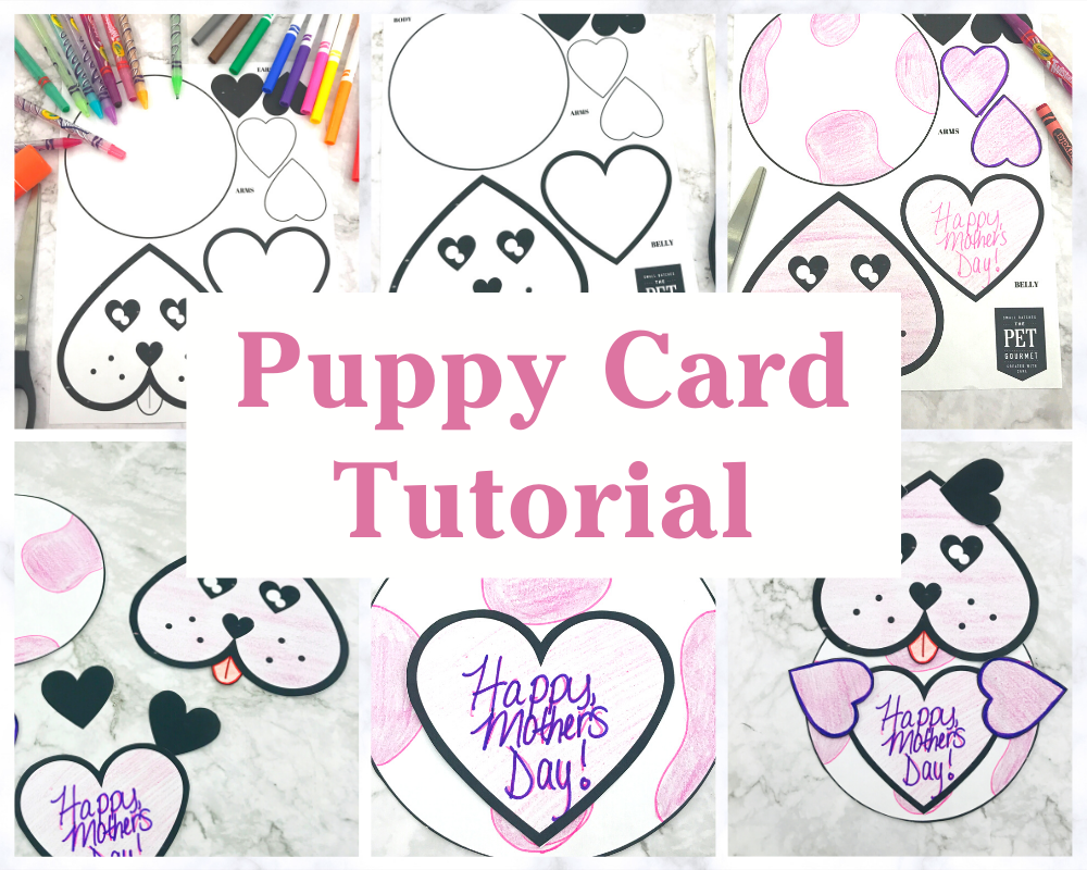 Dog Mother's Day Card Tutorial for Kids | The Pet Gourmet®