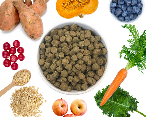 The Benefits of Oven Baked Kibble | The Pet Gourmet®